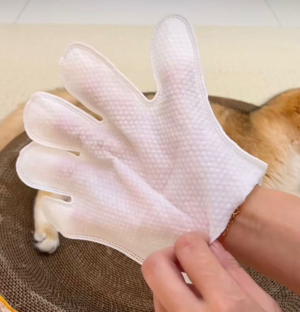 Cleaning Glove Wipes: Easy Pet Clean Up On-The-Go – ThePawlb